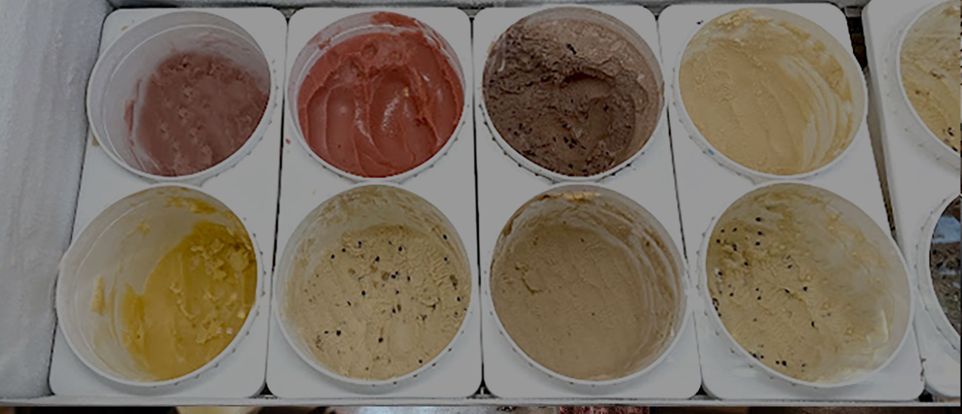 Ice Cream Flavors Denver - Sorbet, Gelato, Frozen Yogurt & Vegan ...